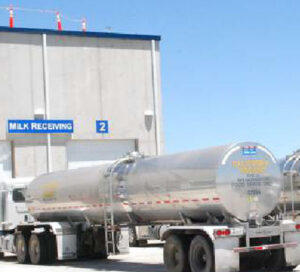 Dry Milk Powder Exporters in India, A2 Milk Export From India